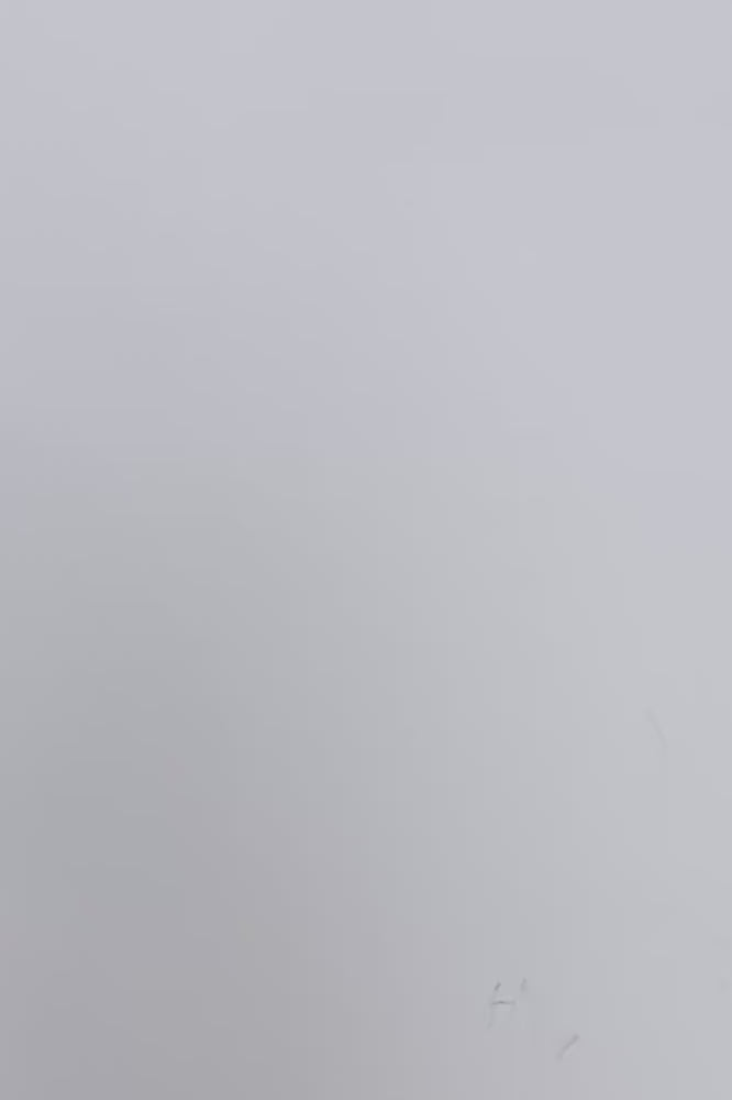 LILY Vintage Utility Cinched Waist Dress – LILY Official Store